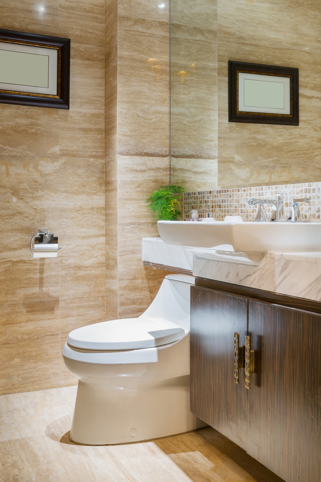 Best Aging in Place Bathroom remodel for Bethesda Residents